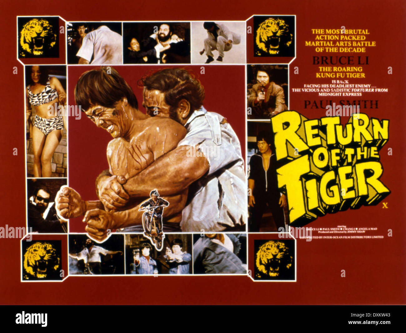 RETURN OF THE TIGER Stock Photo - Alamy