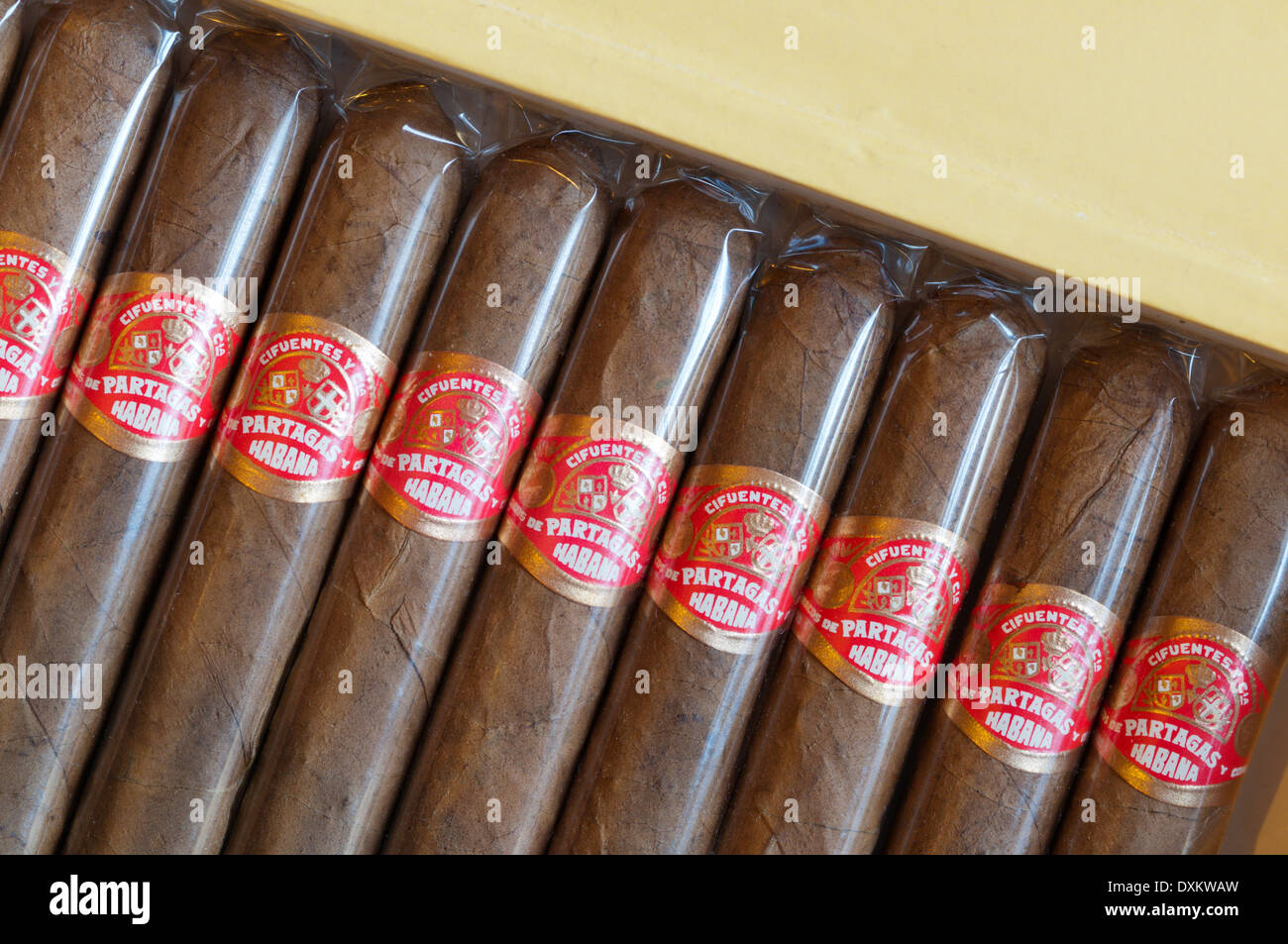 The partagas cigars hi-res stock photography and images - Alamy