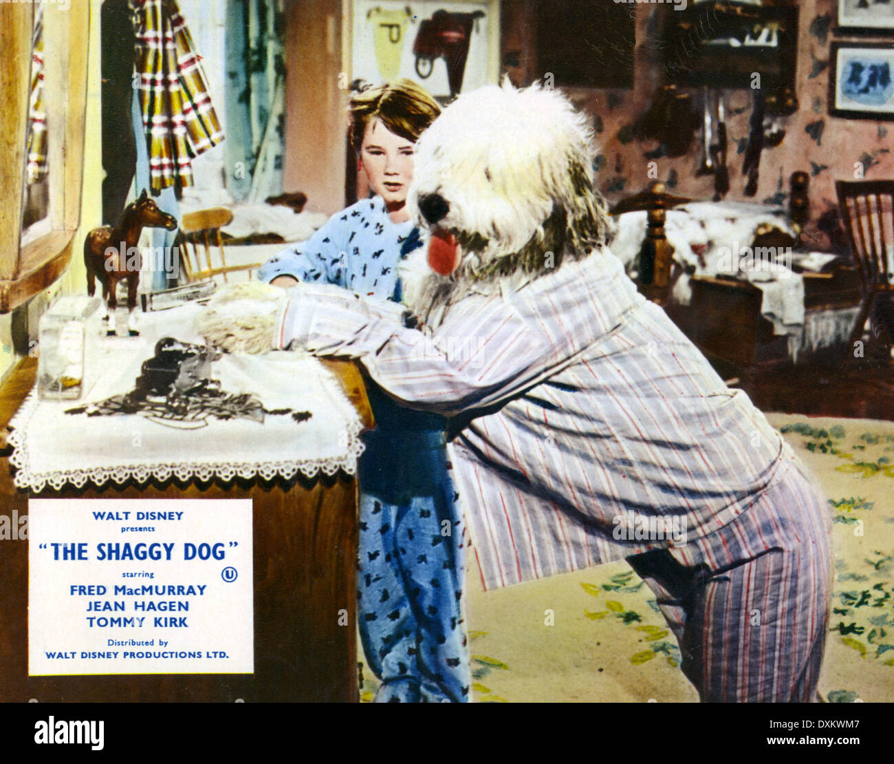 The shaggy dog 1959 hi-res stock photography and images - Alamy