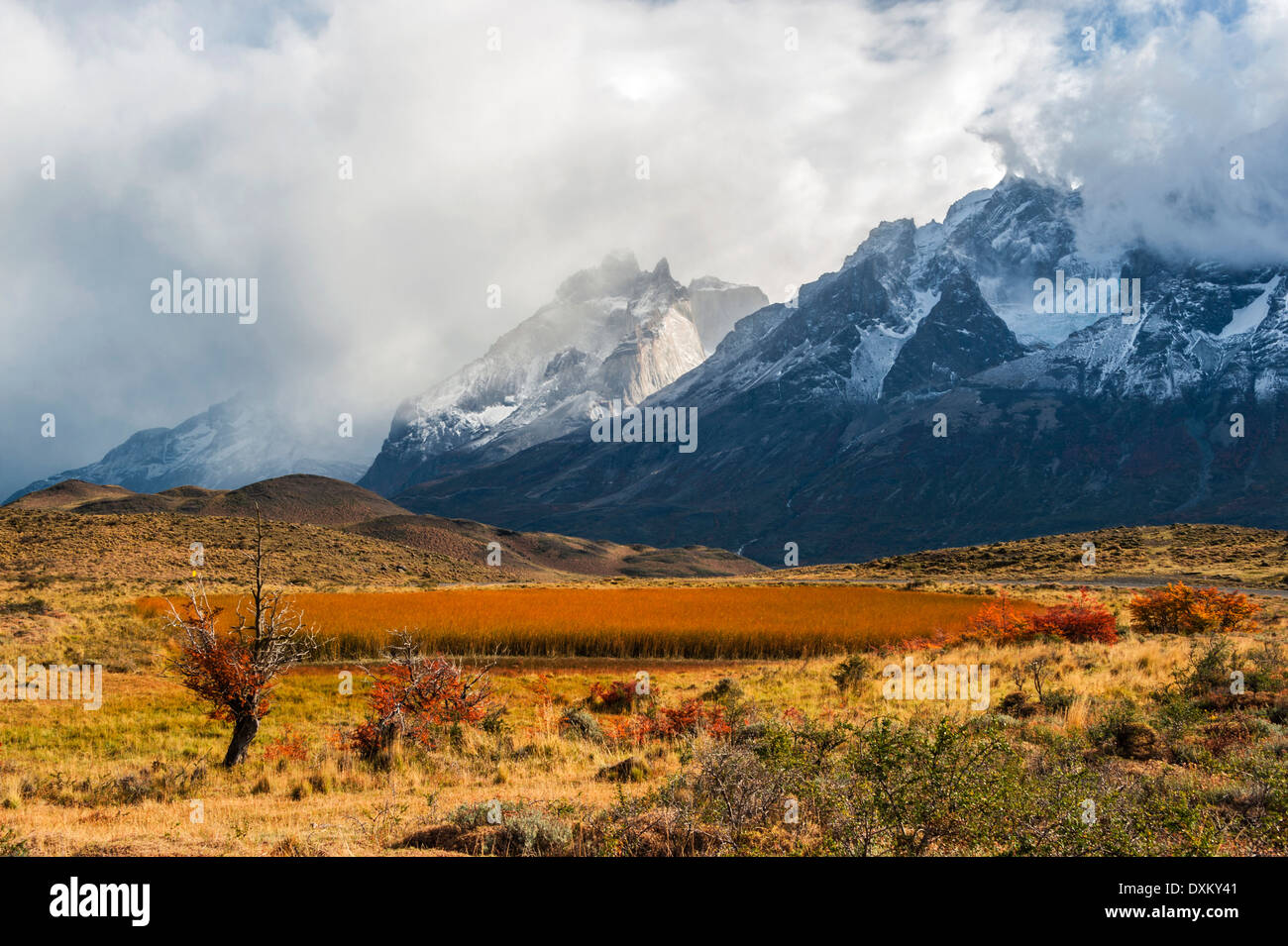 Volcano Aconcagua and Vineyard Stock Photo - Alamy
