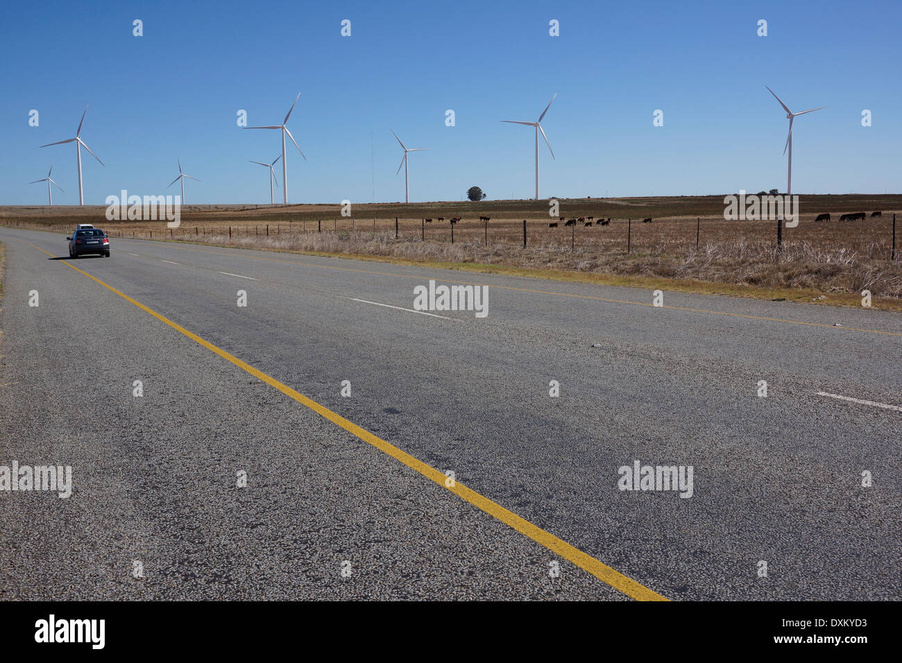 The 66 MW Hopefield wind farm in the Westen Cape Province Stock Photo ...