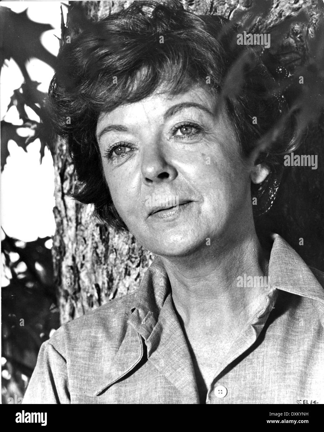 Junior bonner movie Black and White Stock Photos & Images - Alamy