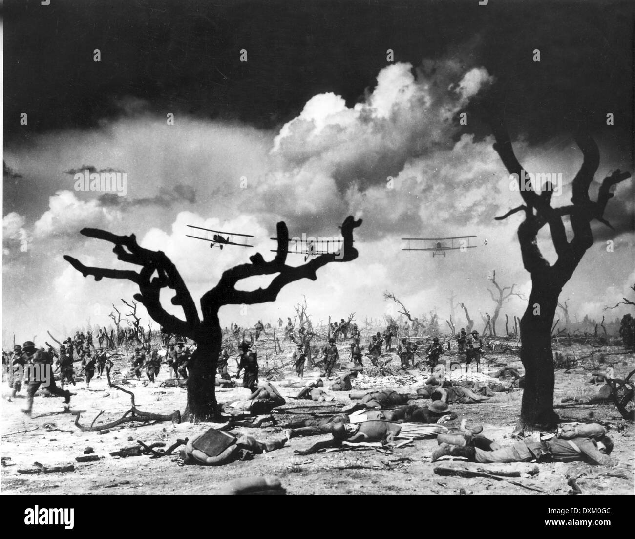 My wings Black and White Stock Photos & Images - Alamy