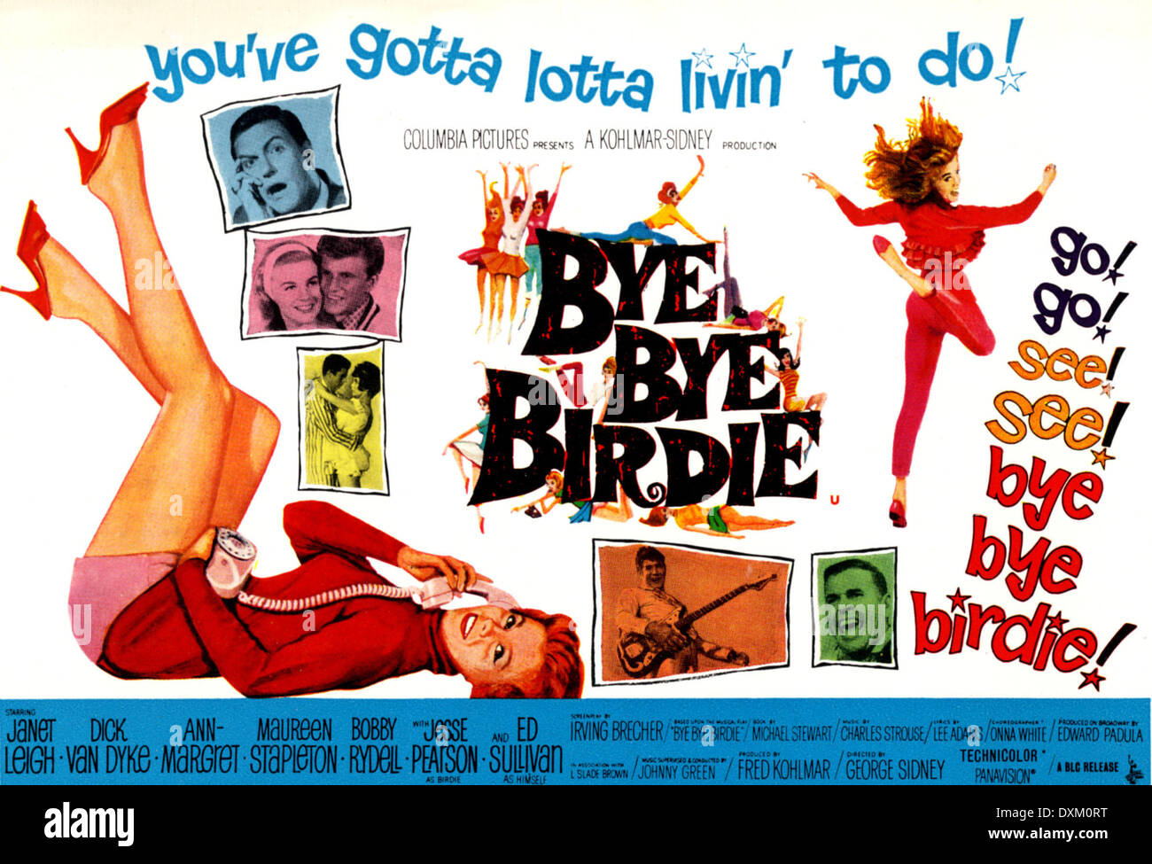 Bye Bye Birdie Hi res Stock Photography And Images Alamy Bye Bye Birdie Hi res Stock Photography And Images Alamy