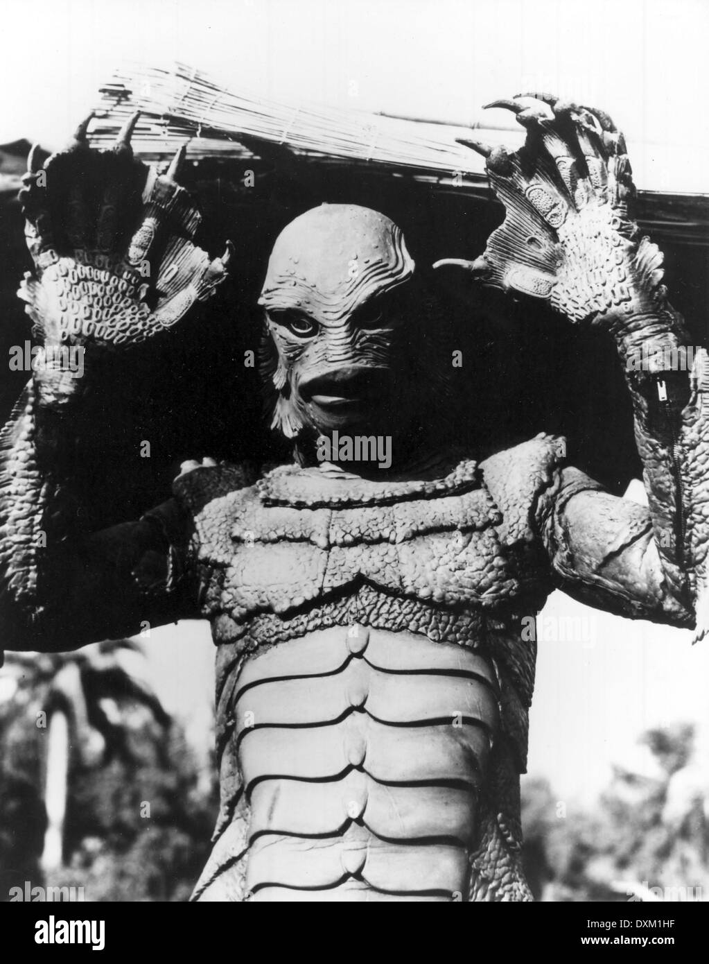 Creature from the black lagoon 1954 hi-res stock photography and images ...
