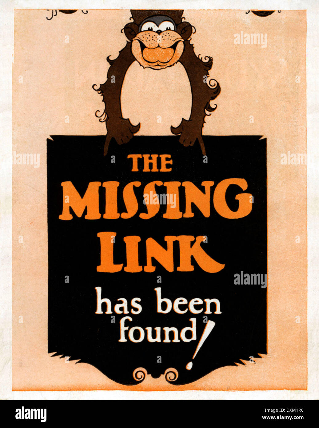 THE MISSING LINK Stock Photo - Alamy