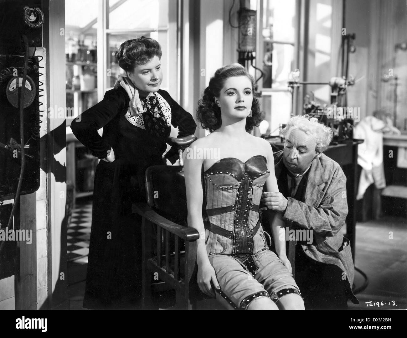 THE PERFECT WOMAN Stock Photo - Alamy