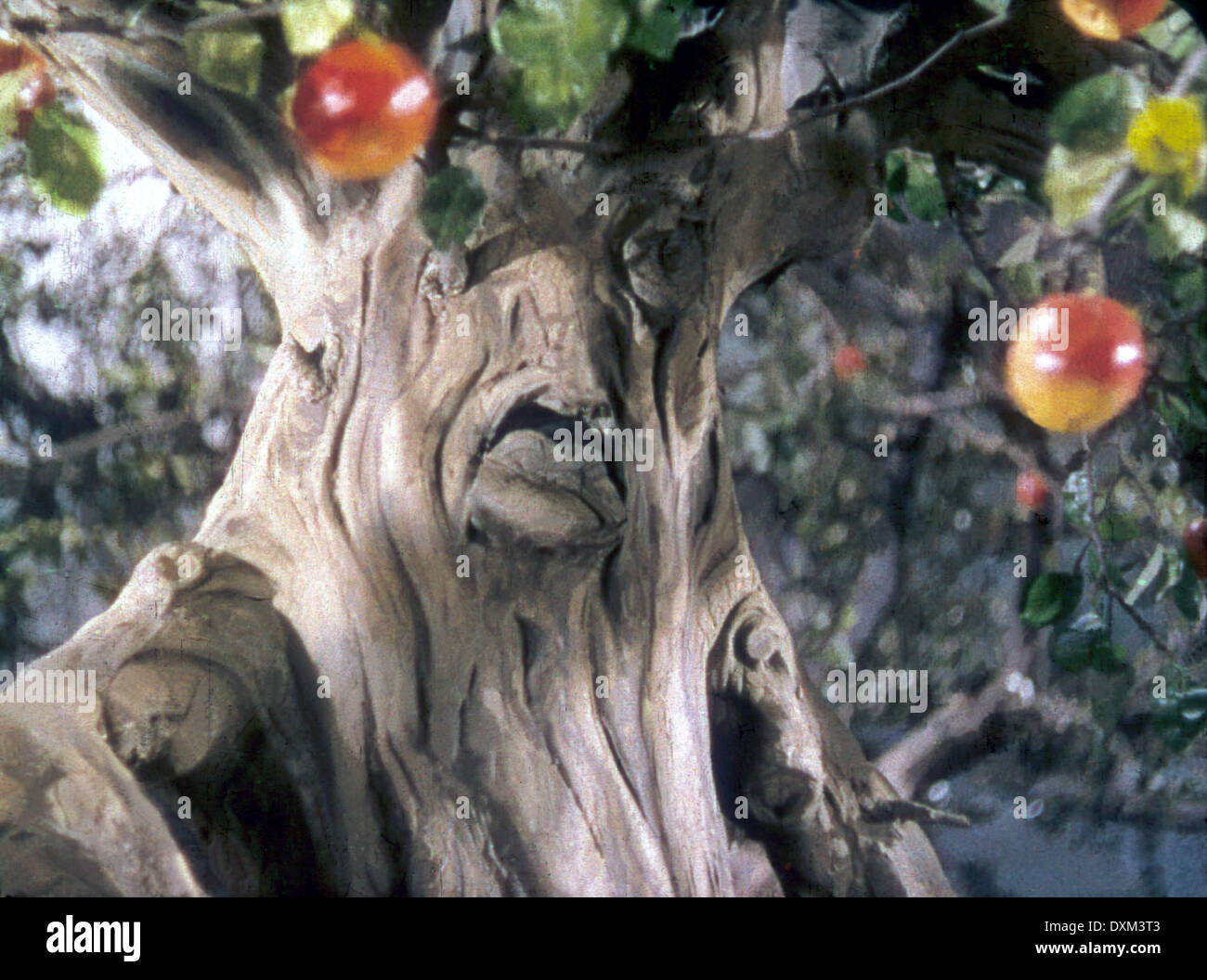 THE WIZARD OF OZ Stock Photo - Alamy