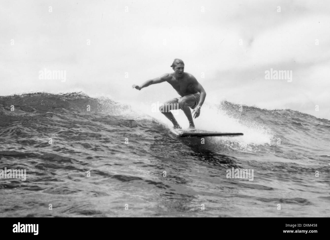 Matt adler hi-res stock photography and images - Alamy