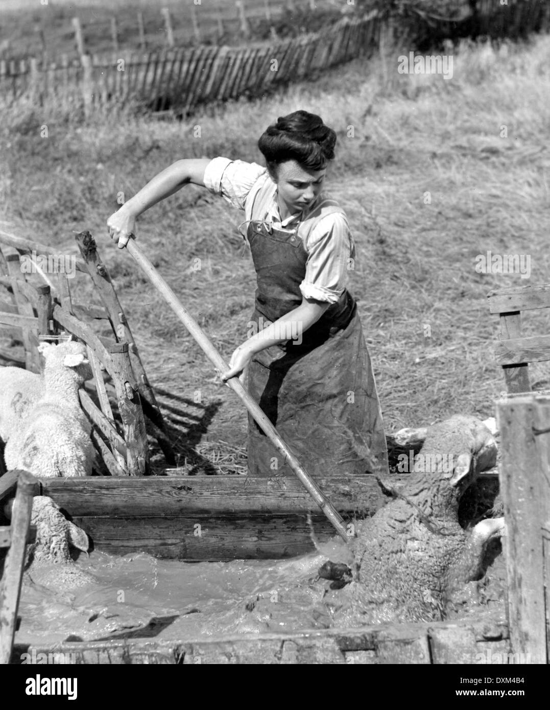 Joanna godden Black and White Stock Photos & Images - Alamy