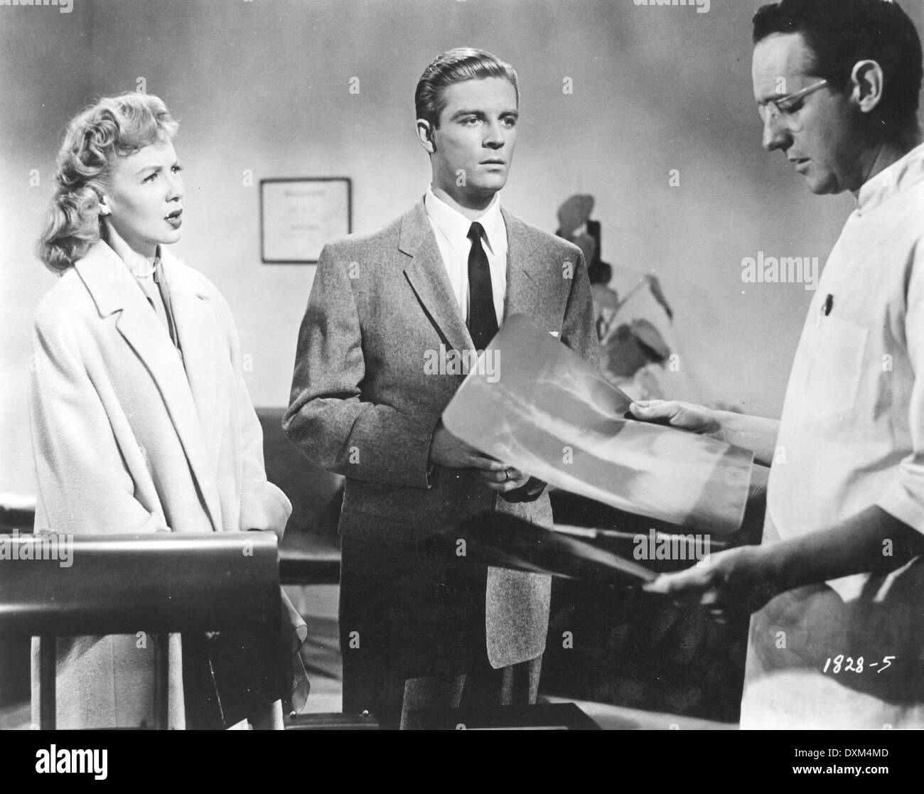 THE INCREDIBLE SHRINKING MAN Stock Photo - Alamy