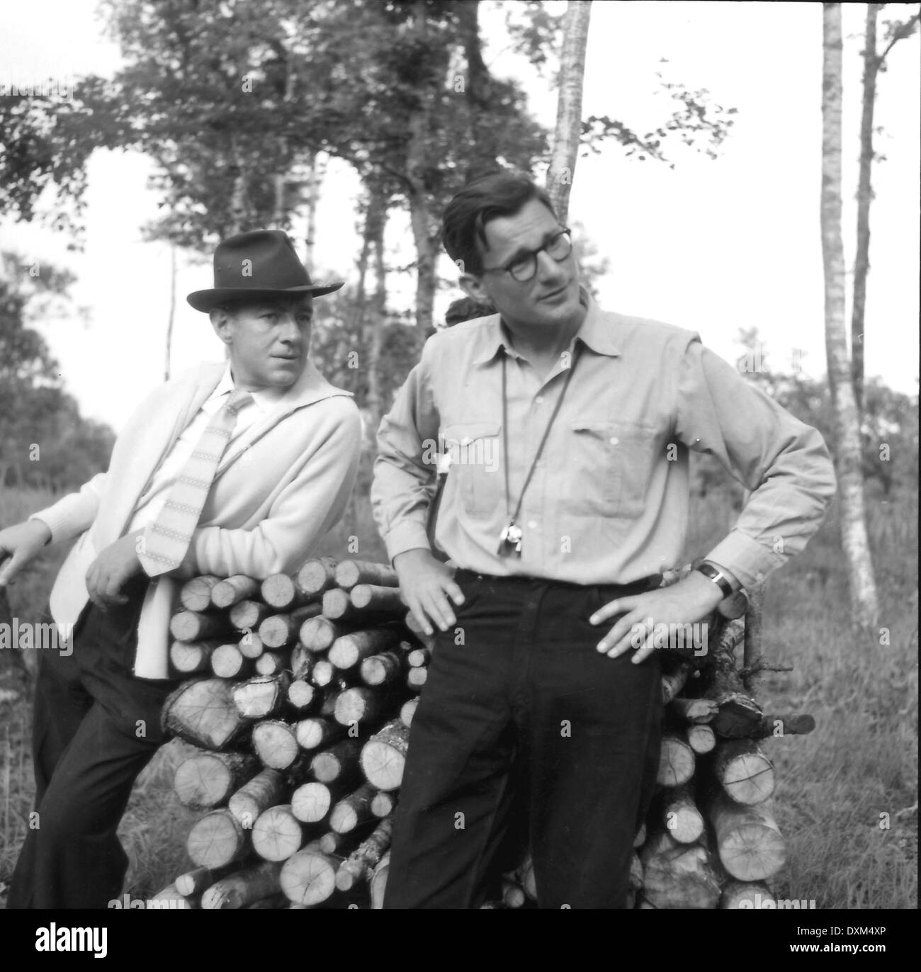 Scapegoat hi-res stock photography and images - Alamy