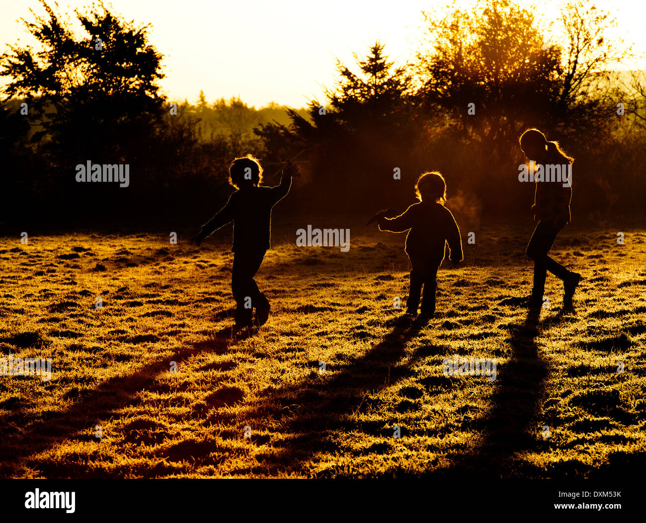 Children's silhouette and their shadows in early morning field and ...