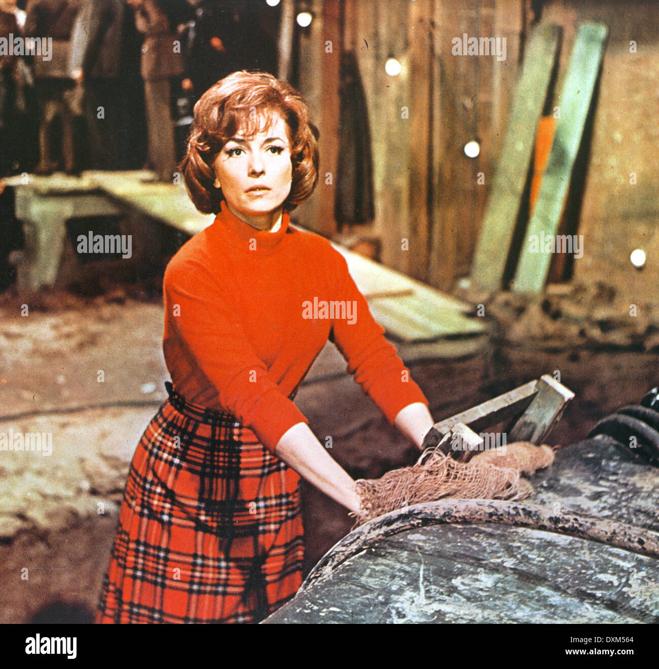 Barbara shelley barbara shelley barbara hi-res stock photography and ...