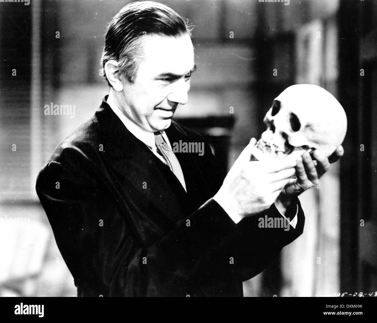 THE DEVIL BAT Stock Photo - Alamy