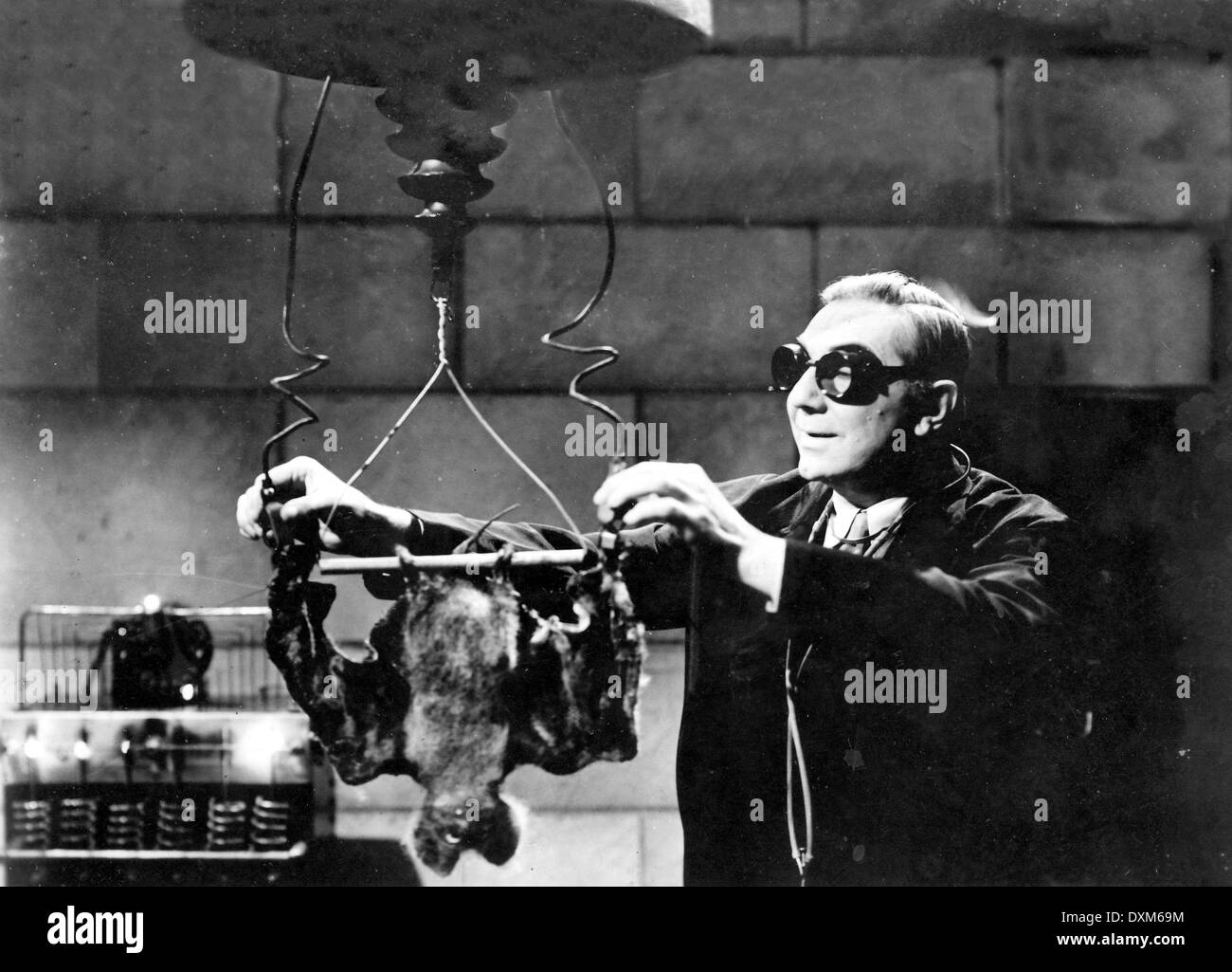 DEVIL BAT THE DEVIL BAT Stock Photo - Alamy