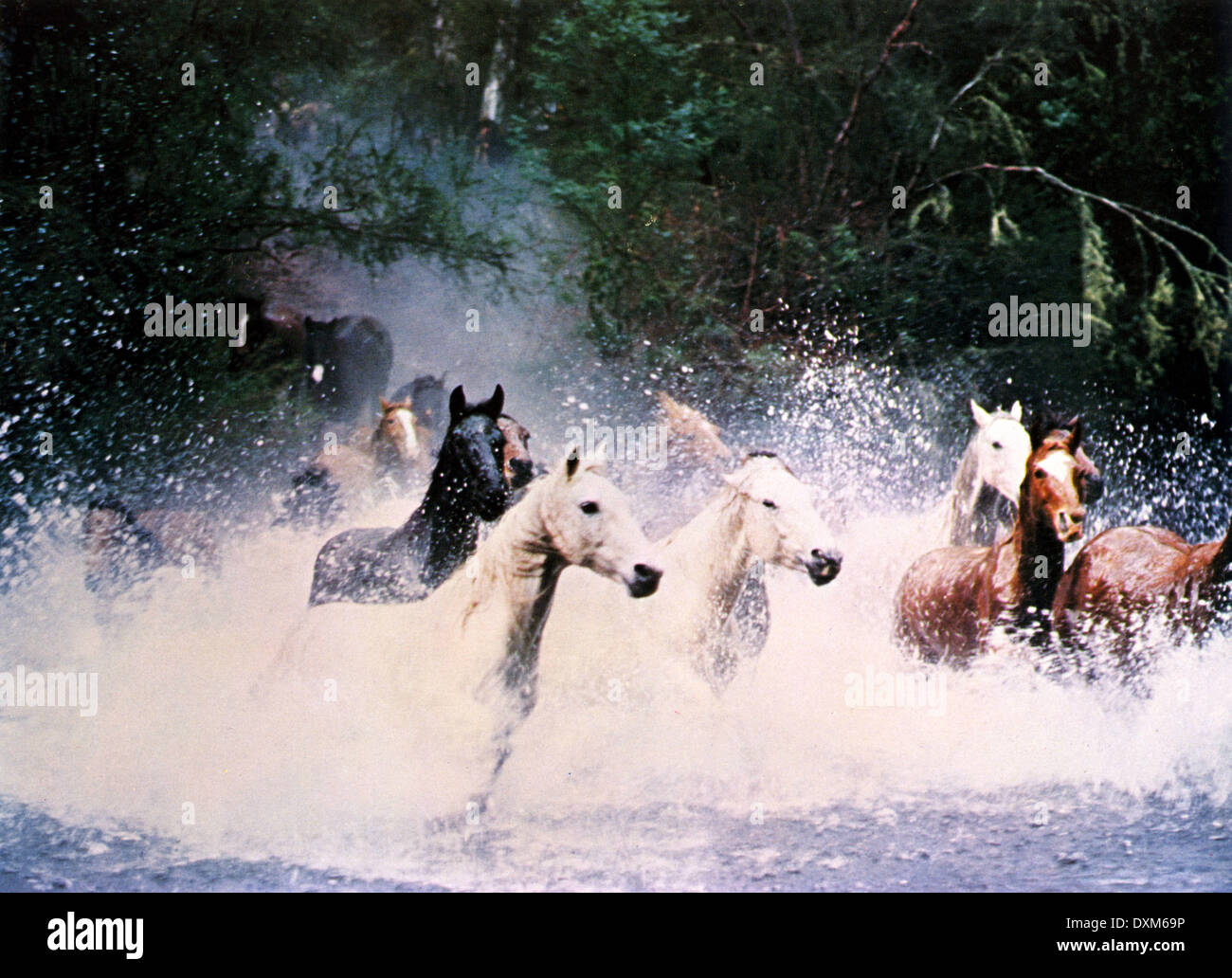 Man from snowy river 1982 hi-res stock photography and images - Alamy
