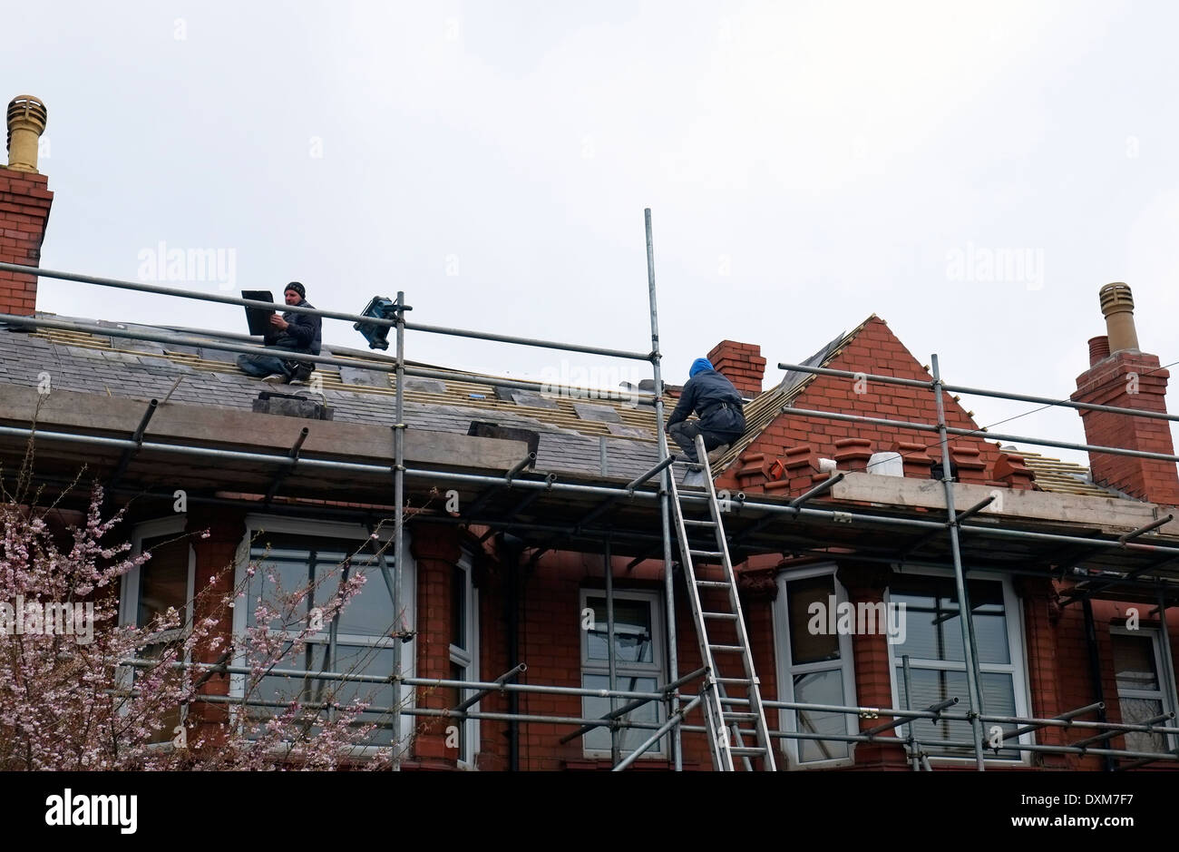 House Roof Repairs Stock Photo - Alamy