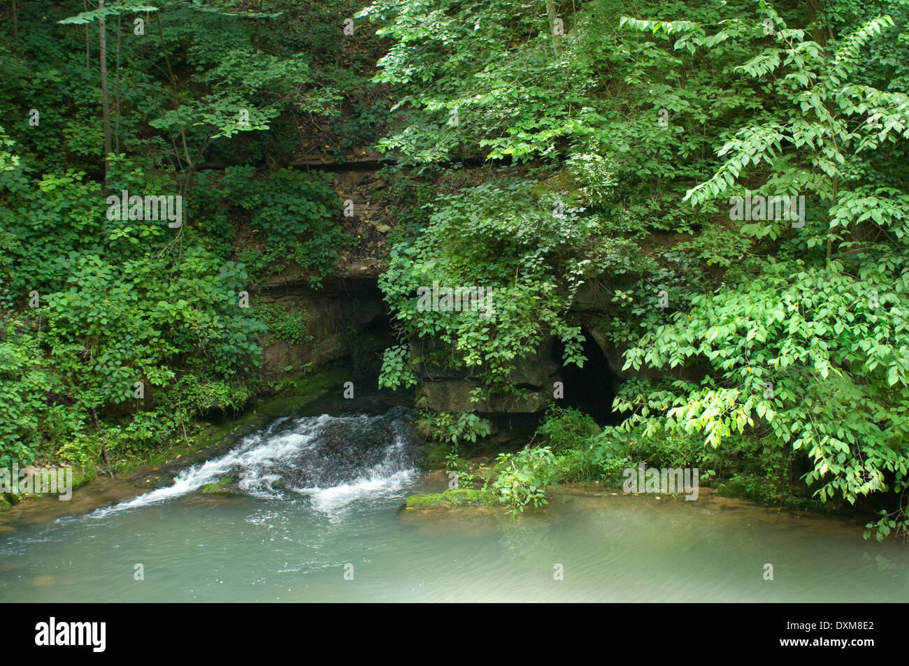 Natural spring providing water power for a village gristmill, Spring ...