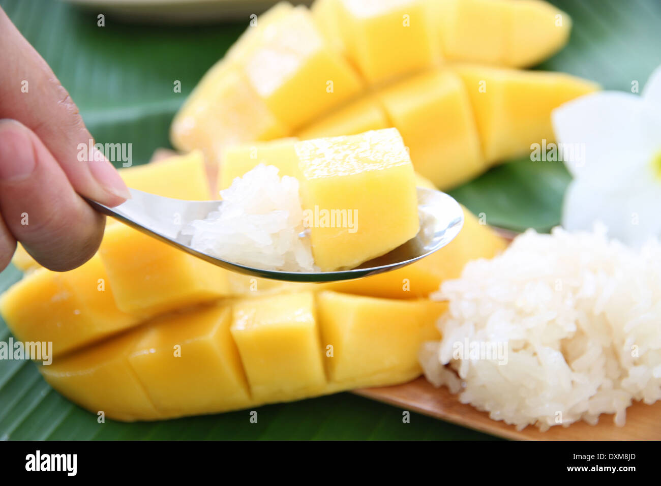 Ripe mango and sticky rice in spoon on banana leaves,local Thai foods ...