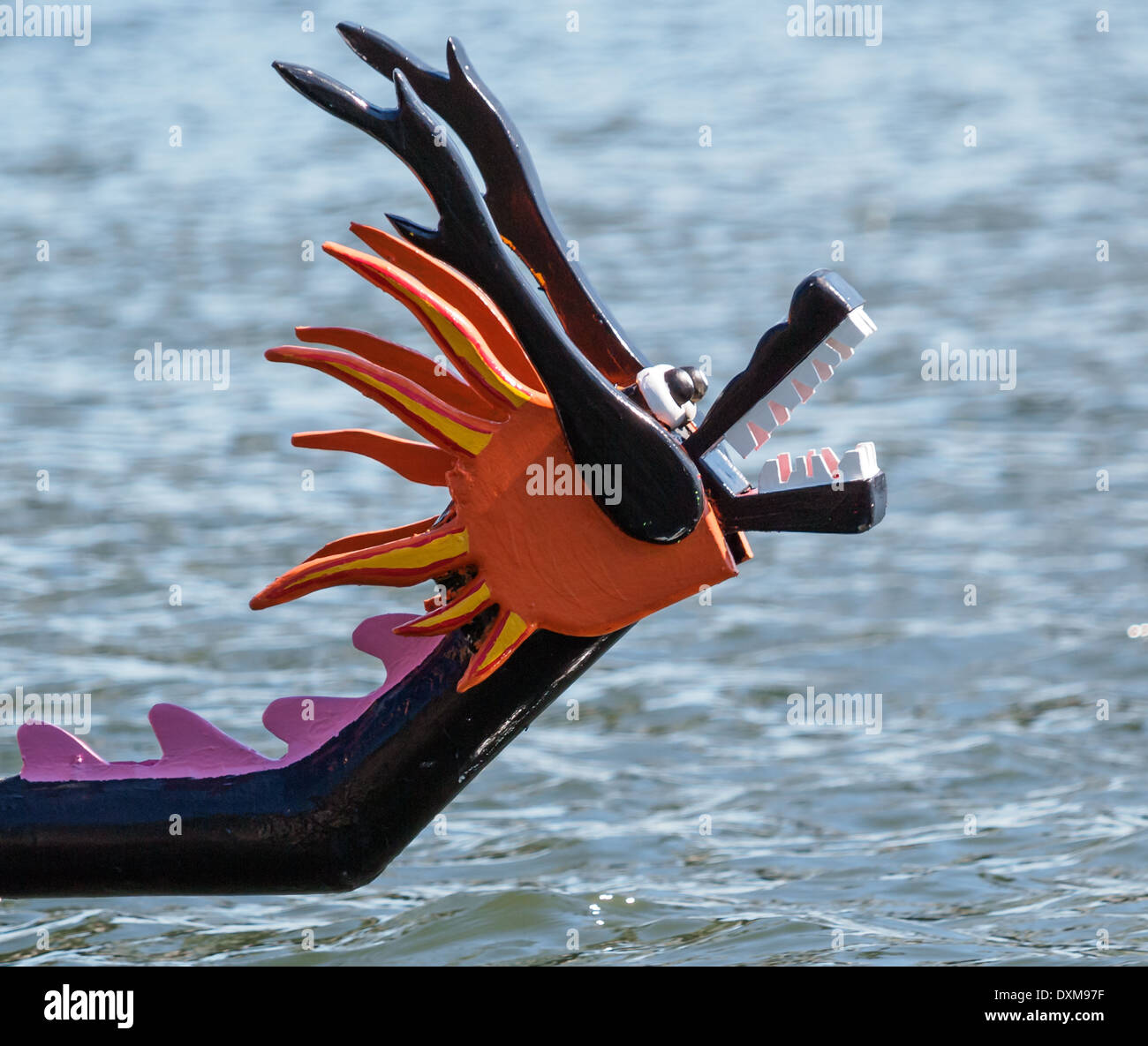 Image of a dragon head on one of the boats at the dragon boat races at ...