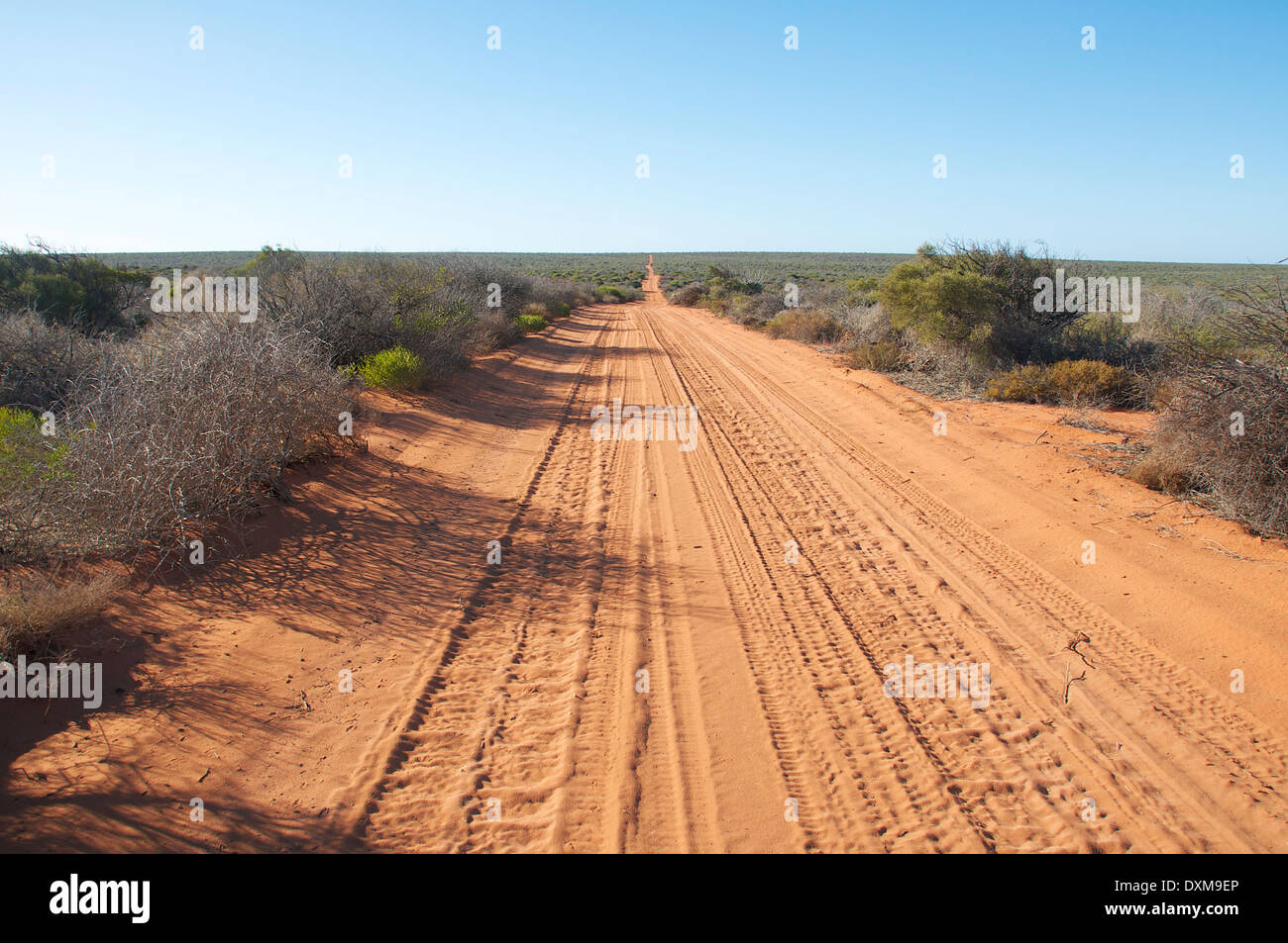 wheel tracks on desert road Stock Photo - Alamy