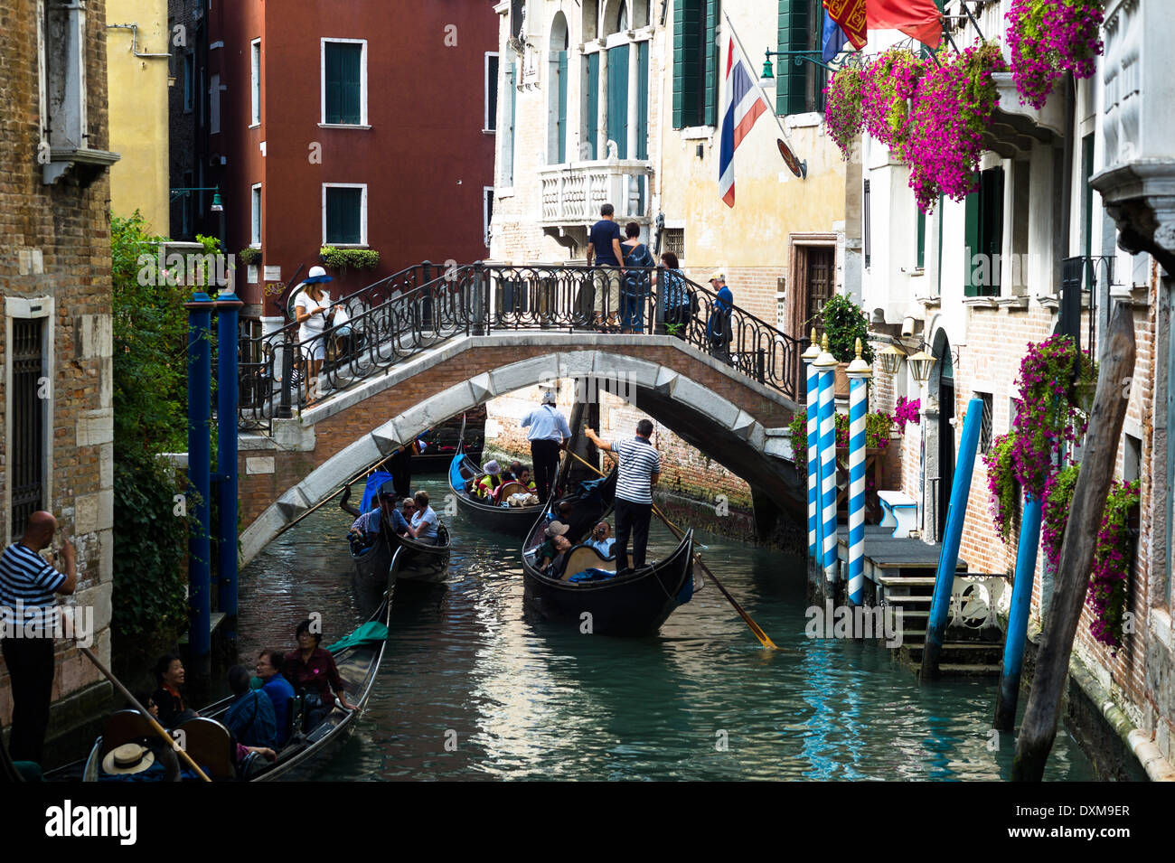 Italy, Venice, Gondolas on Canale Grande Stock Photo - Alamy