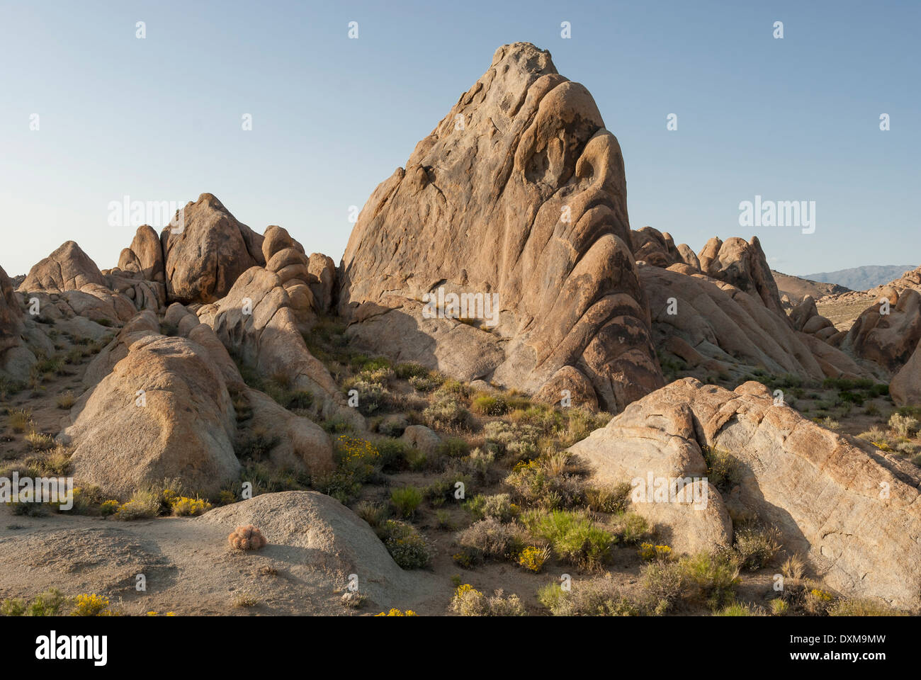 Rocky movie hi-res stock photography and images - Alamy