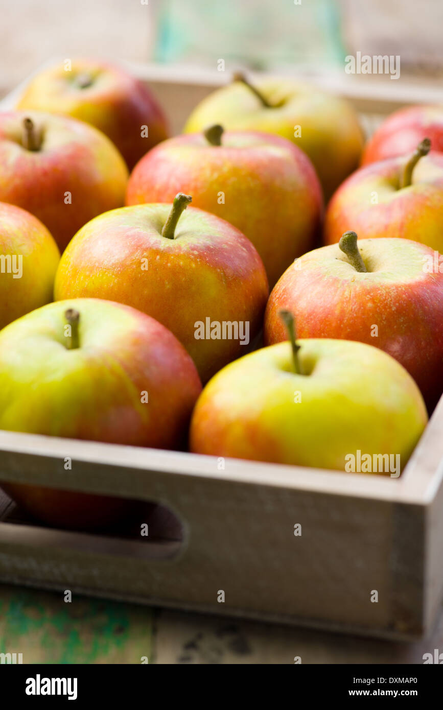 Crunchy apples hi-res stock photography and images - Alamy