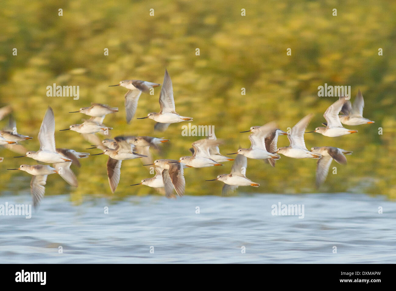 Terek region hi-res stock photography and images - Alamy