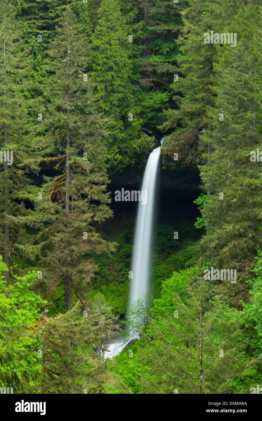 Silver falls state park hi-res stock photography and images - Alamy
