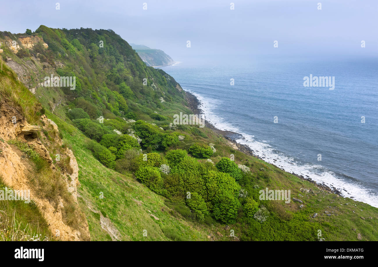 Cloughton scarborough north hi-res stock photography and images - Alamy