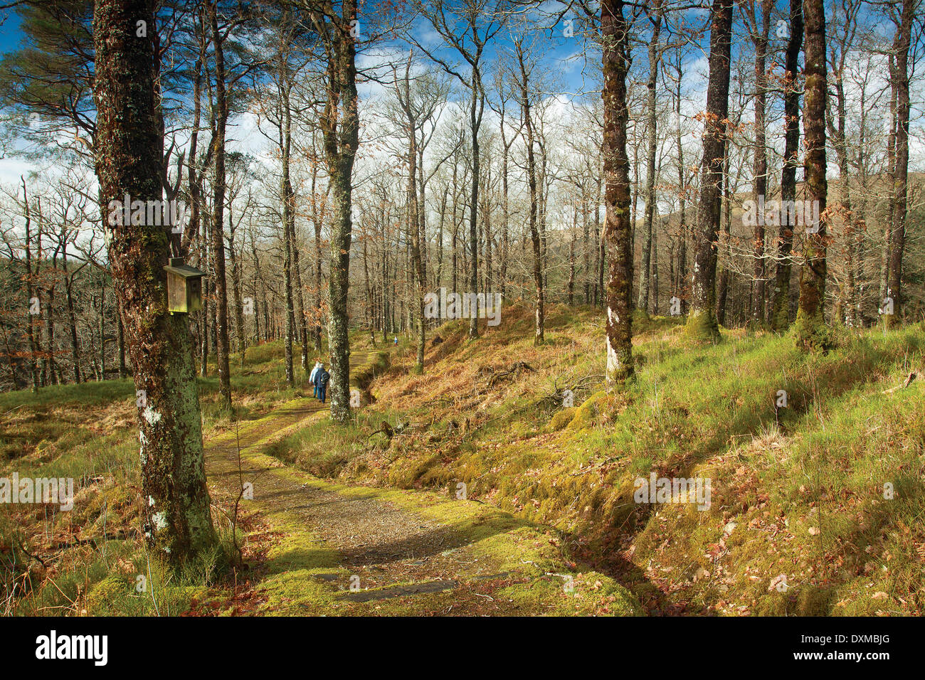Woods and river hi-res stock photography and images - Alamy