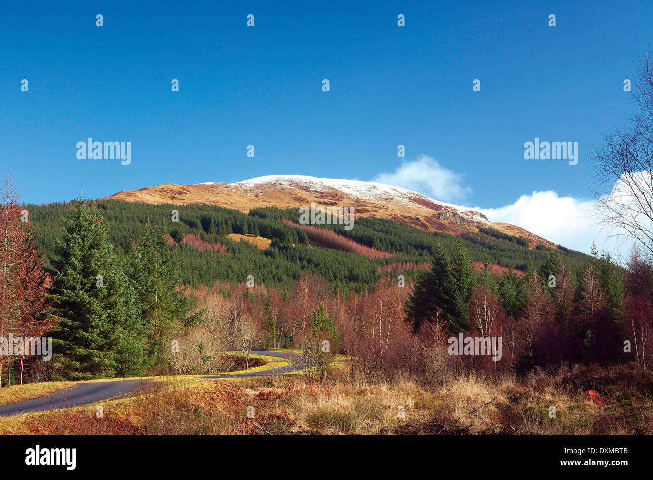 Woods and river hi-res stock photography and images - Alamy