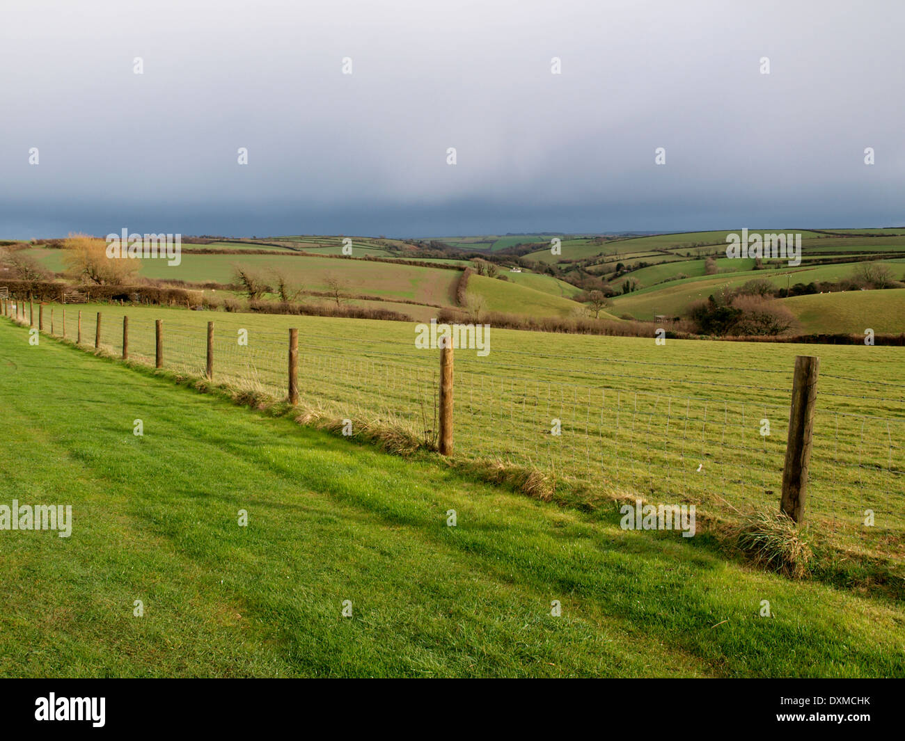 Farmland, South Devon, UK Stock Photo - Alamy