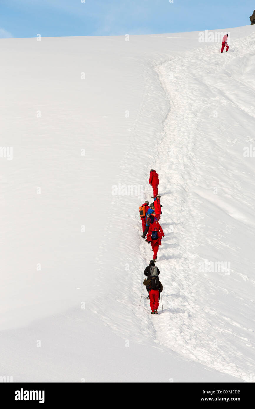 Antarctic ocean cruise brown hi-res stock photography and images - Alamy