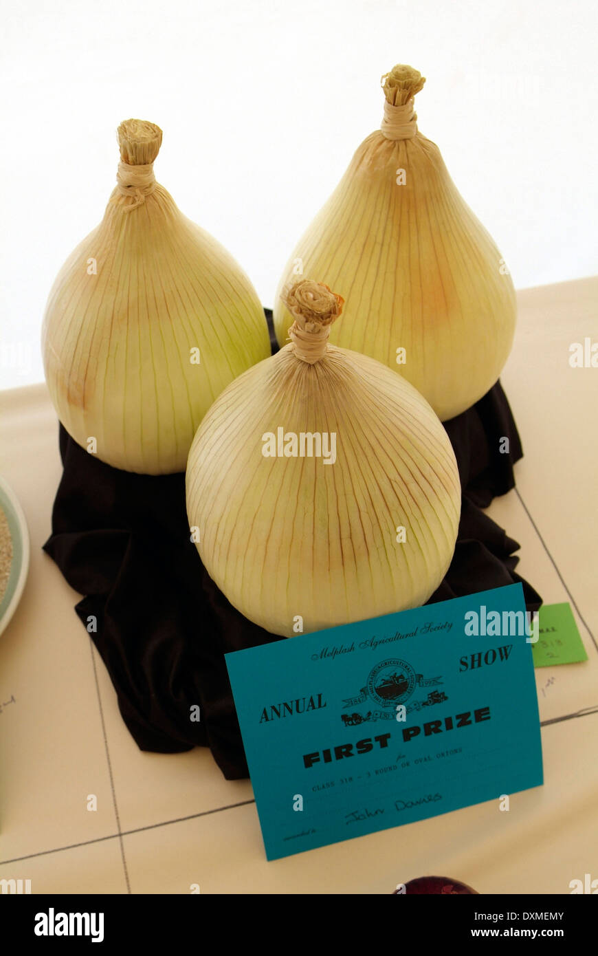 Show melplash hi-res stock photography and images - Alamy