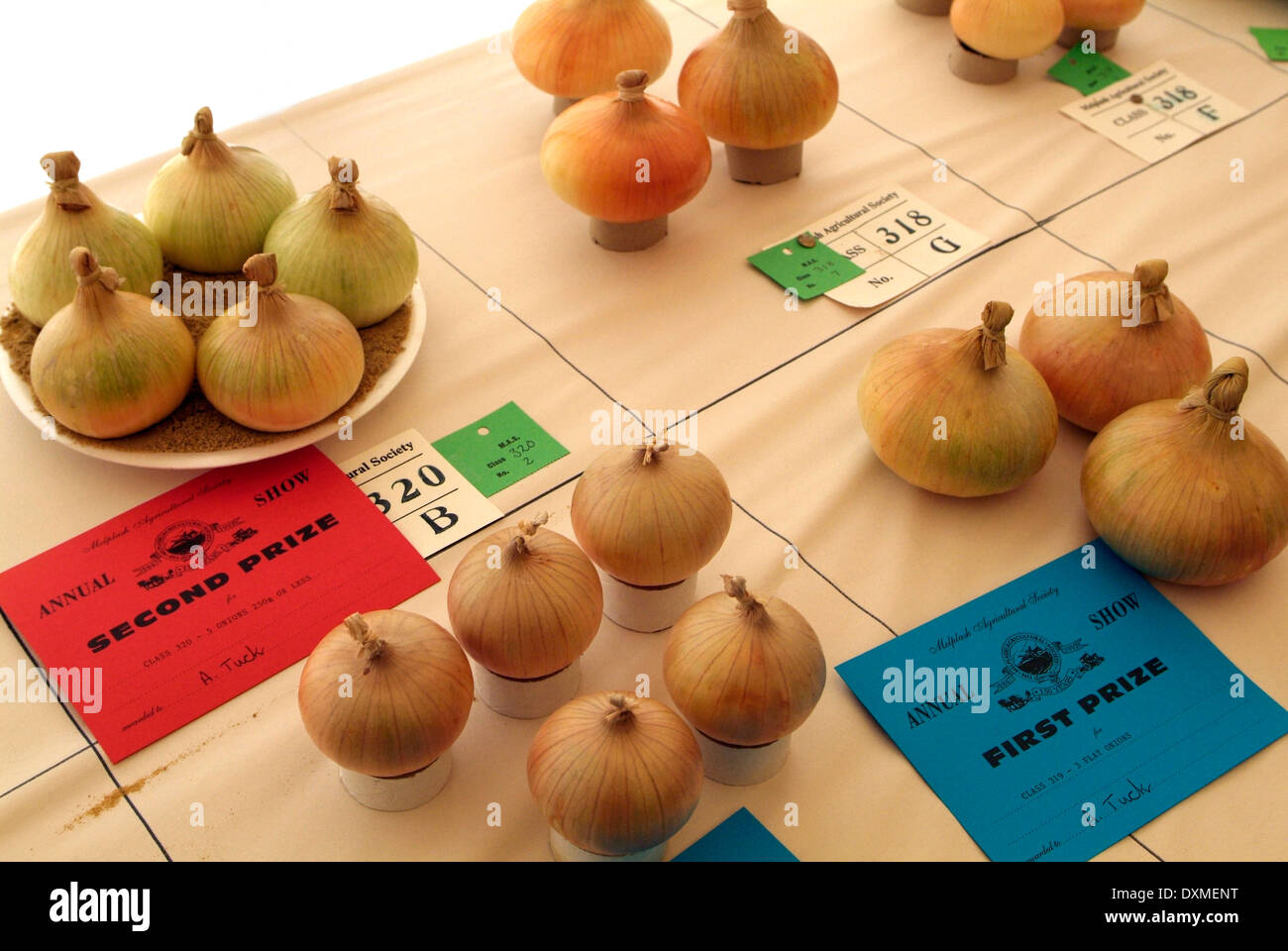 Show melplash hi-res stock photography and images - Alamy