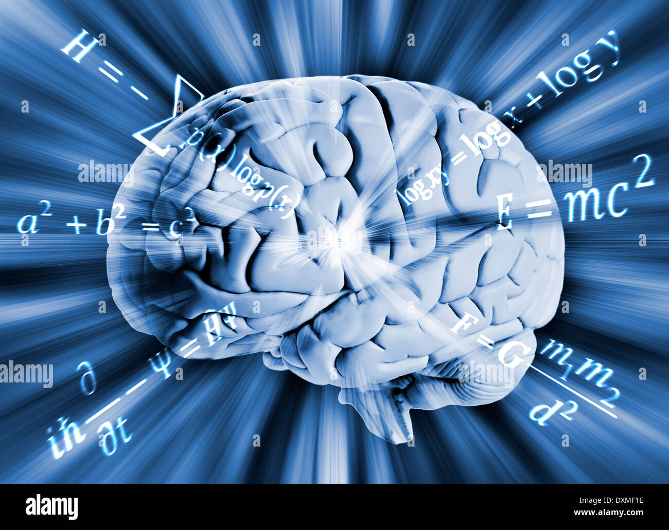 Human brain with math equations Stock Photo - Alamy