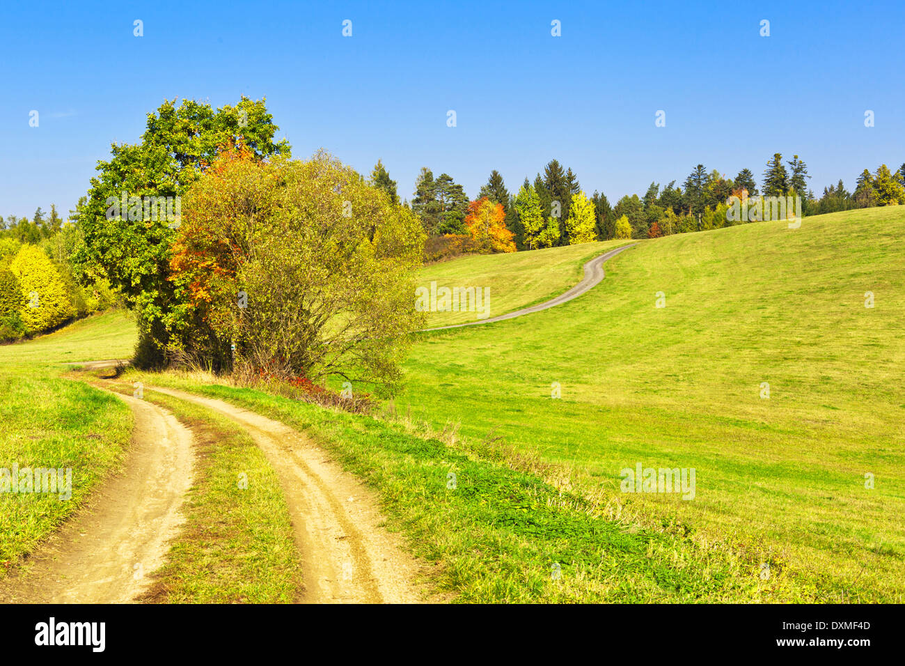 Fall landscape composed of a winding track, meadow and blue sky Stock ...