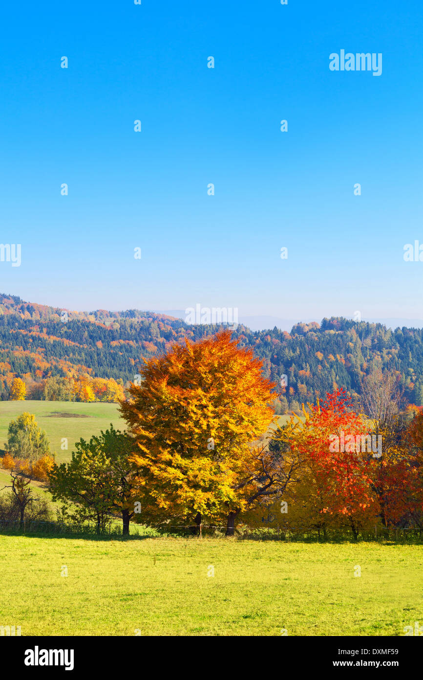 Natural landscape wood hi-res stock photography and images - Alamy