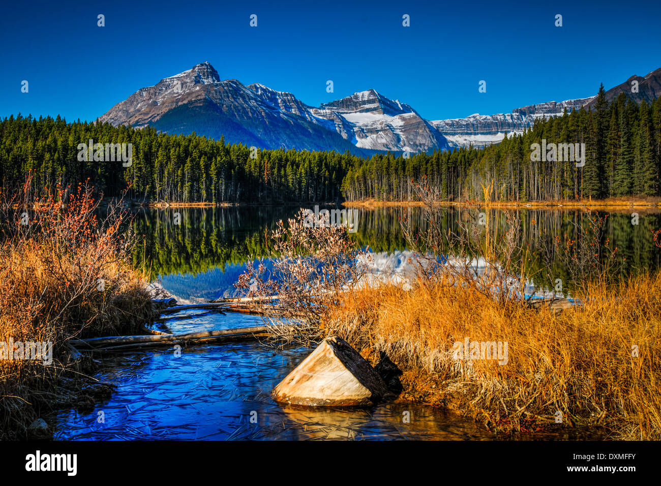 Herbert Lake High Resolution Stock Photography and Images - Alamy