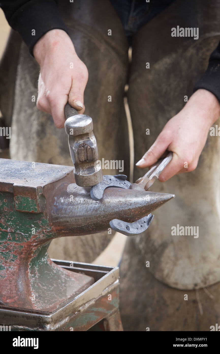 A professional farrier working at a stable in North Lincolnshire ...