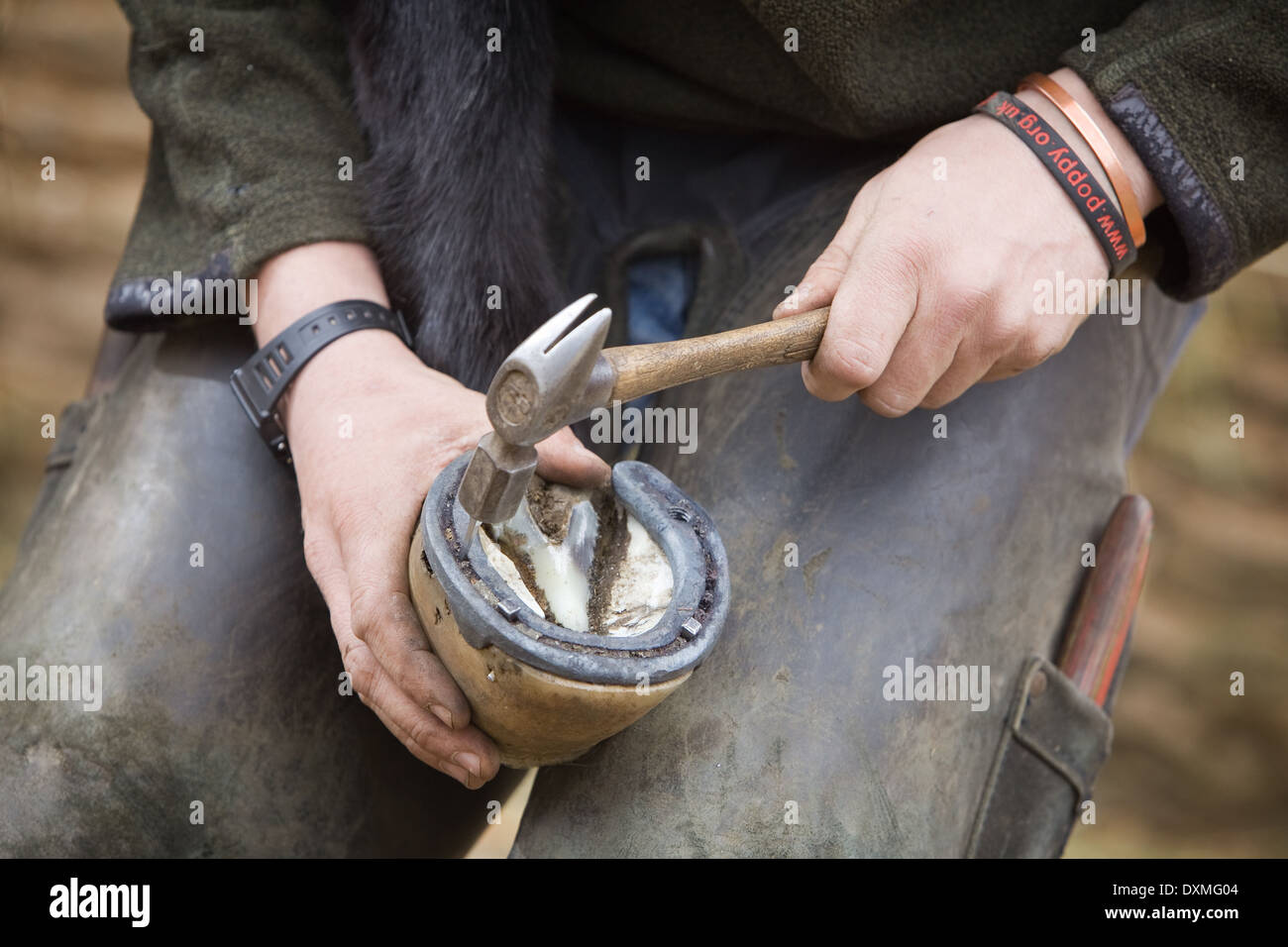 Farrier hi-res stock photography and images - Alamy