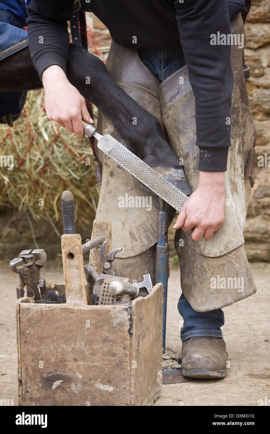 A professional farrier working at a stable in North Lincolnshire ...