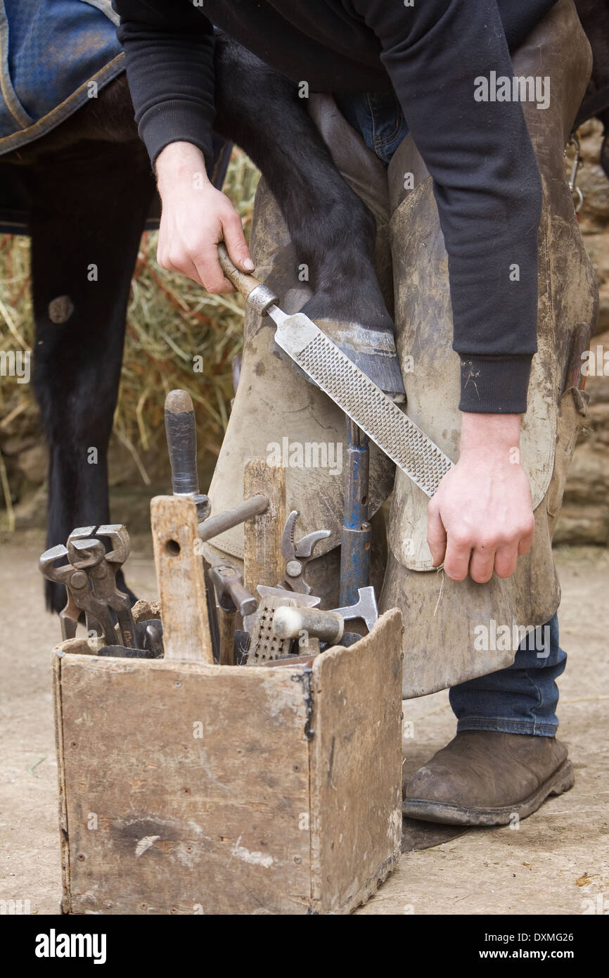 Farrier hi-res stock photography and images - Alamy