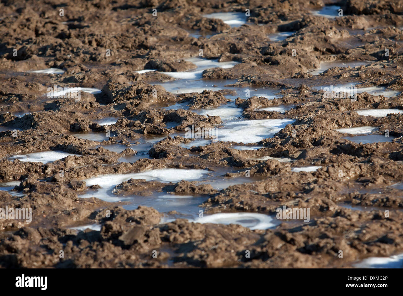 Puddle background hi-res stock photography and images - Alamy