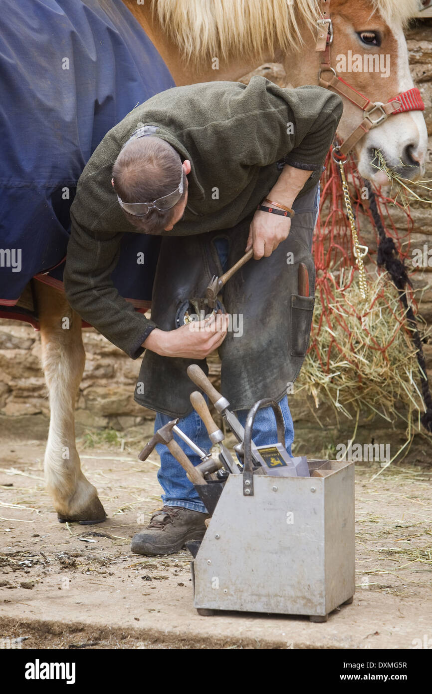 A professional farrier working at a stable in North Lincolnshire ...