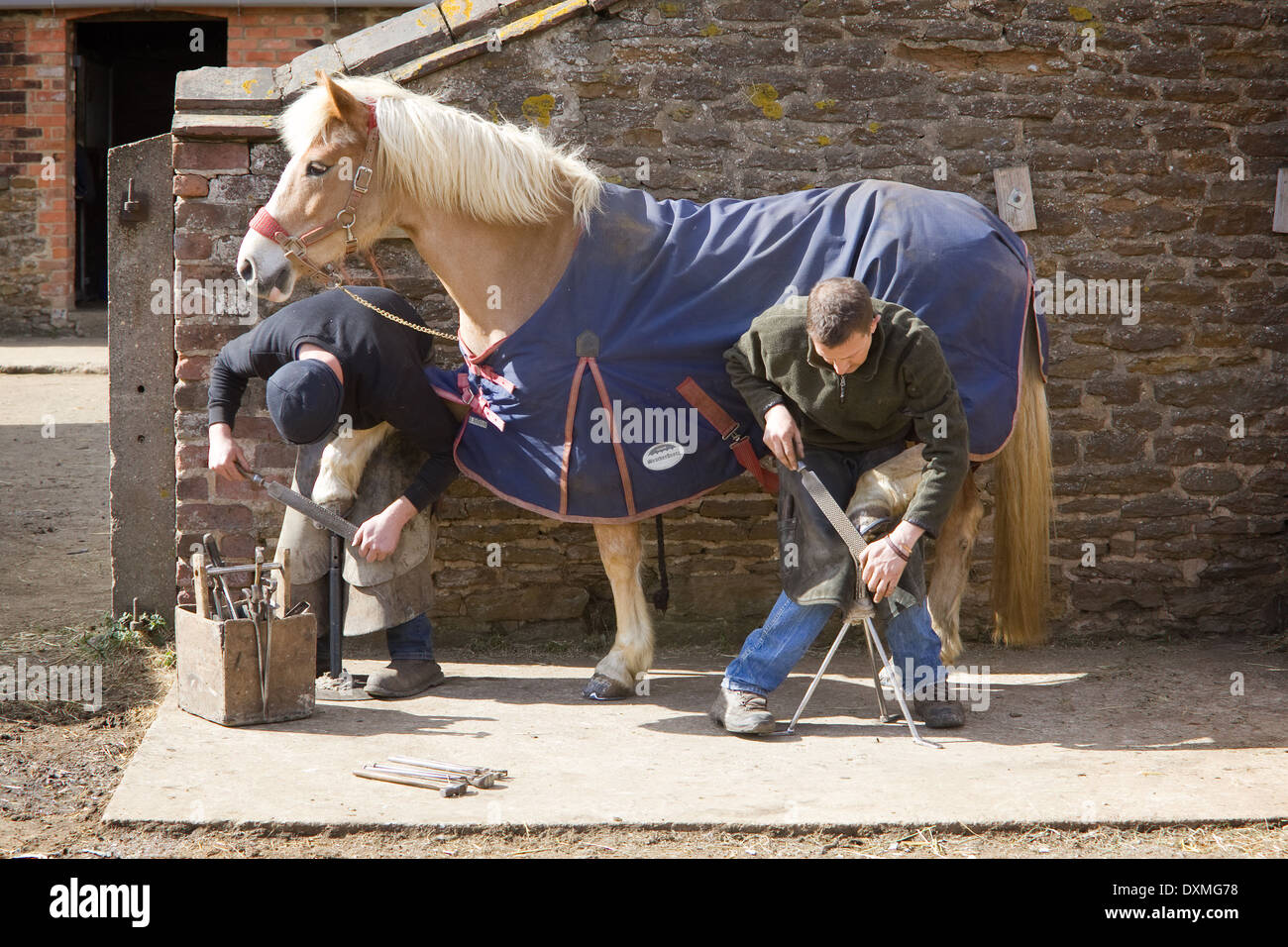 Blacksmith horse hi-res stock photography and images - Alamy