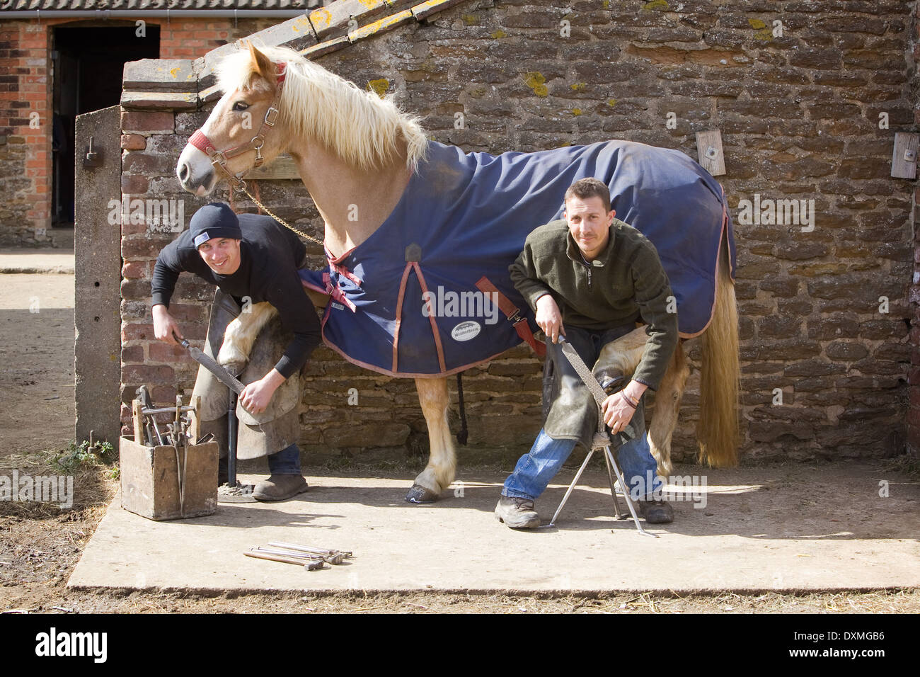 Professional farriers working at a stable in North Lincolnshire ...